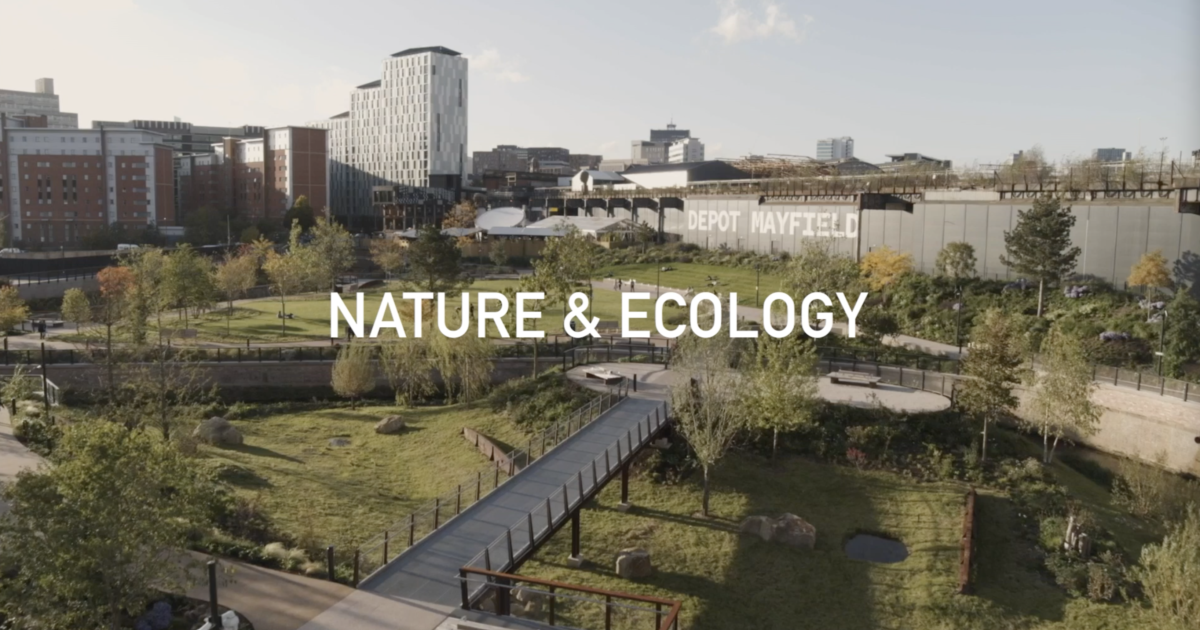 Nature and Ecology — Studio Fractal — Architectural lighting design ...